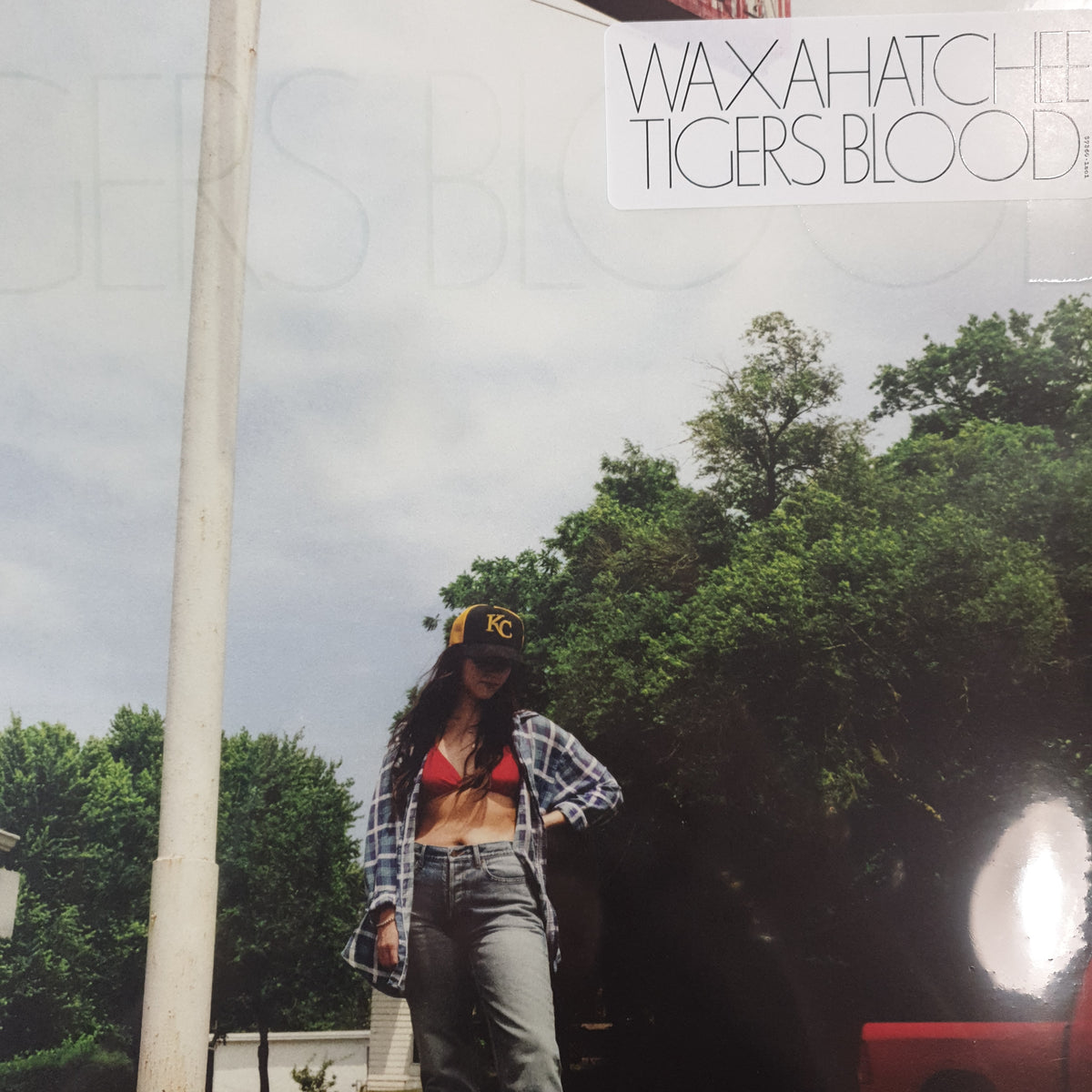 WAXAHATCHEE - TIGERS BLOOD VINYL – GrevilleRecords