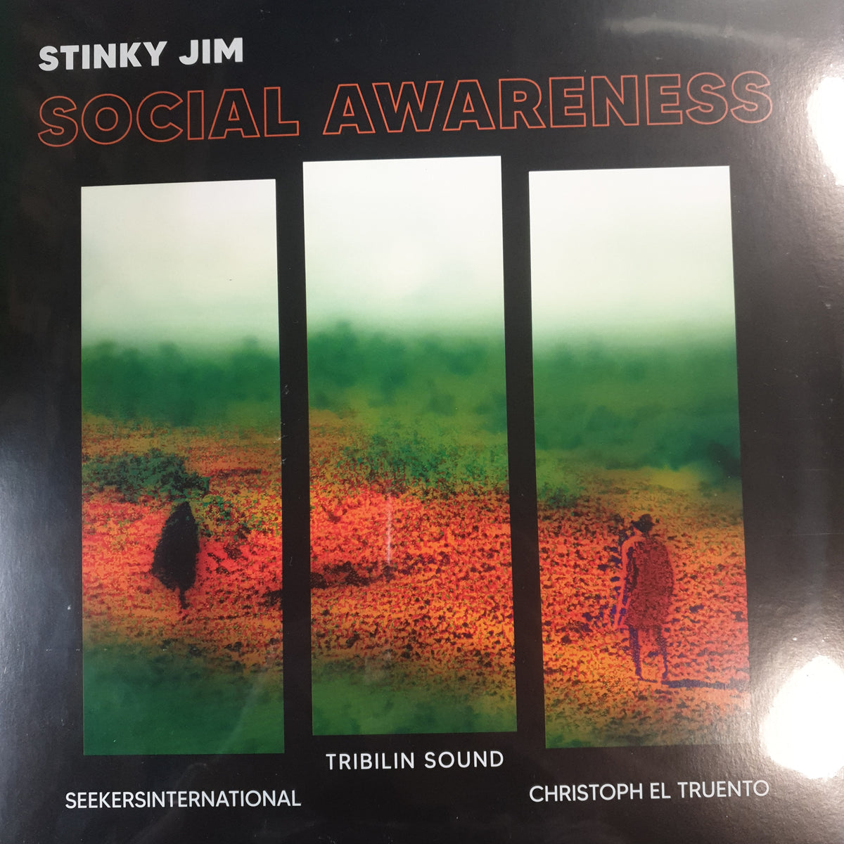 STINKY JIM - SOCIAL AWARENESS VINYL – GrevilleRecords