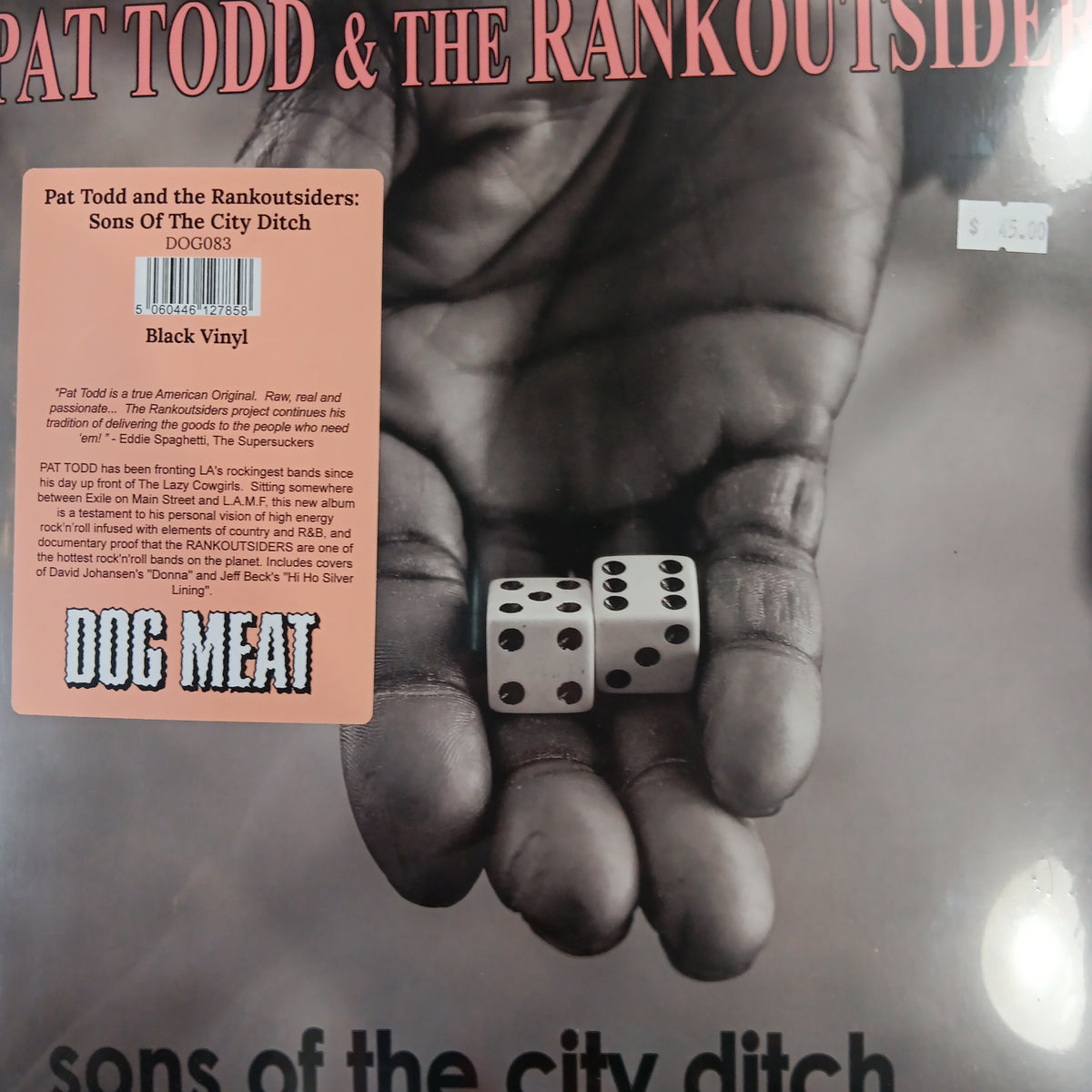 PAT TODD AND THE RANKOUTSIDERS - SONS OF THE CITY DITCH VINYL ...