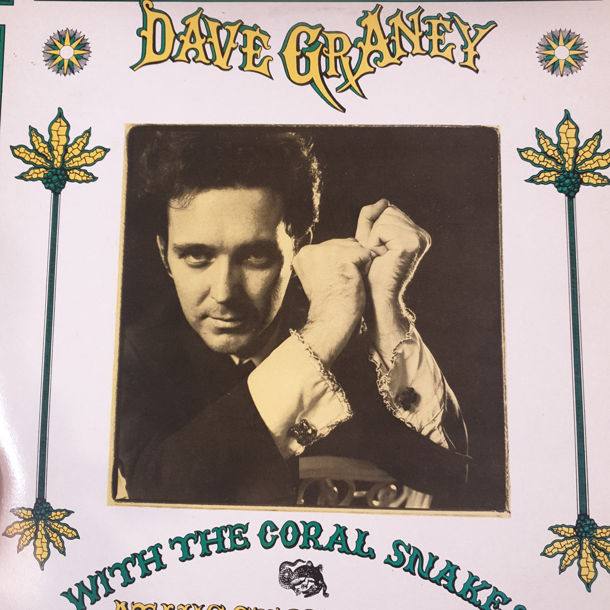 DAVE GRANEY AND THE CORAL SNAKES - AT HIS STONE BEACH (EP) (USED VINYL ...