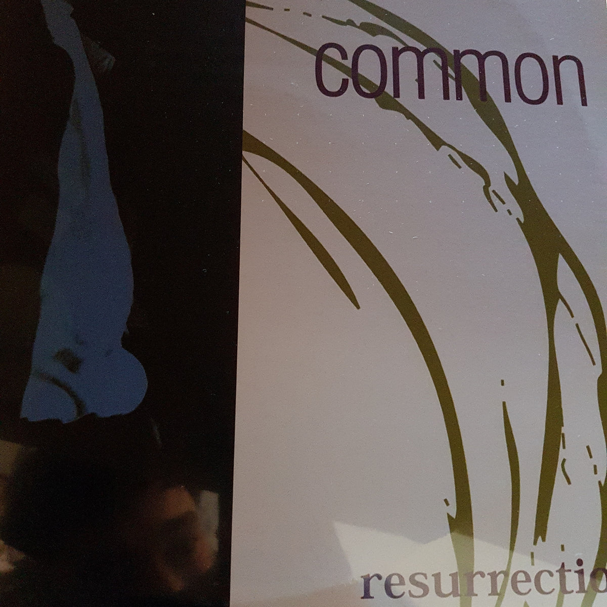 COMMON - RESURRECTION VINYL – GrevilleRecords