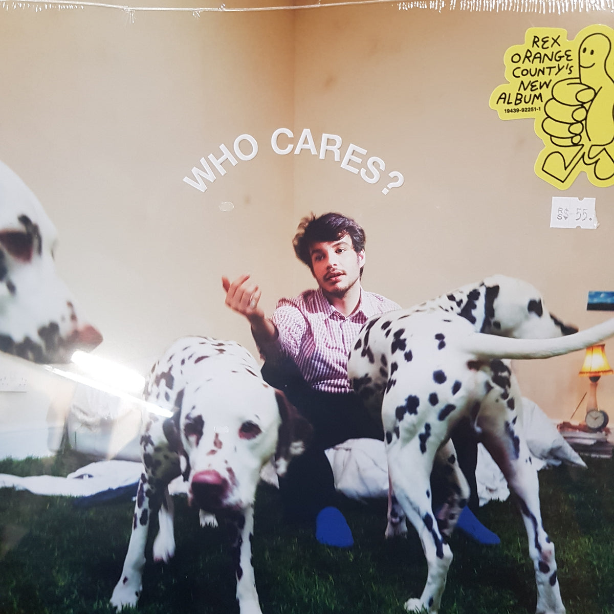 REX ORANGE COUNTY - WHO CARES? VINYL – GrevilleRecords