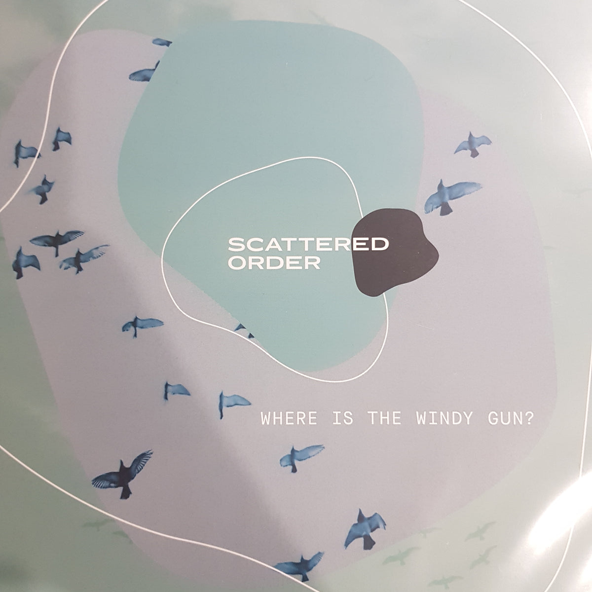 SCATTERED ORDER - WHERE IS THE WINDY GUN VINYL – GrevilleRecords