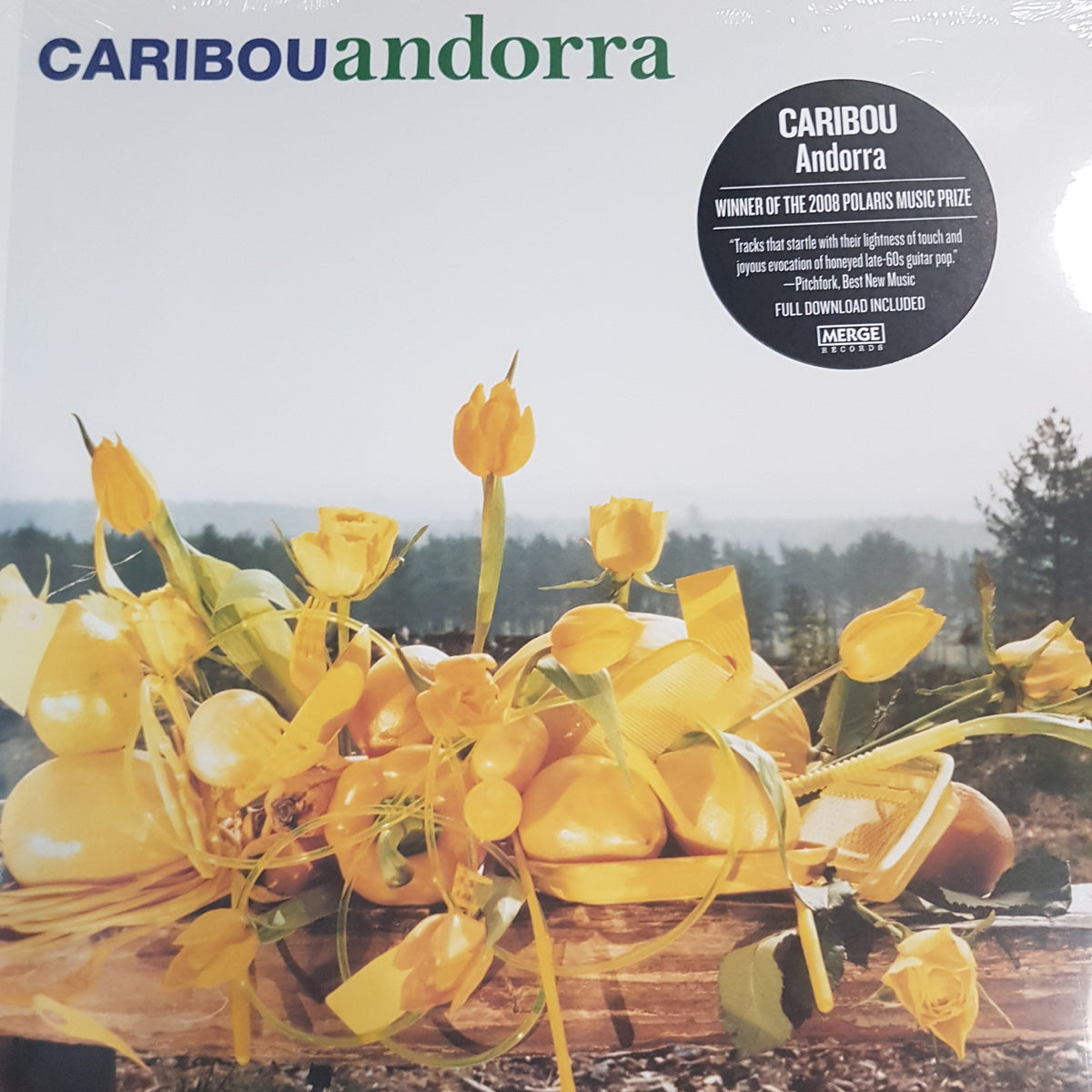 CARIBOU - ANDORRA VINYL – GrevilleRecords