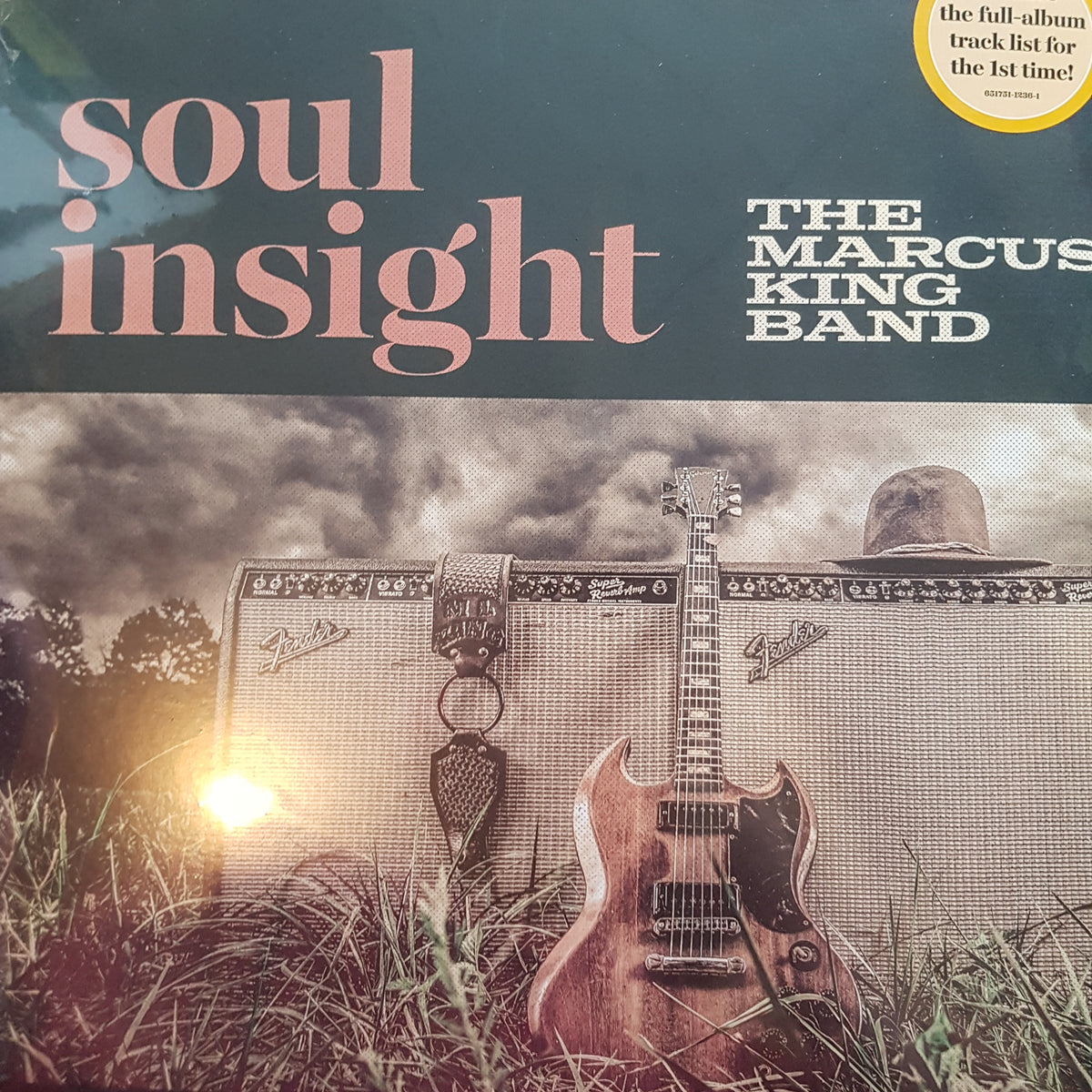 MARCUS KING - SOUL INSIGHT VINYL – GrevilleRecords